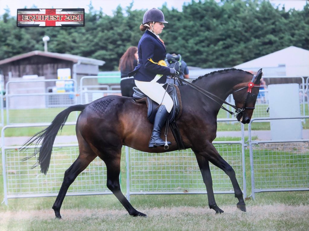 Lindsop Stud Blog Part 3 - The National Pony Society